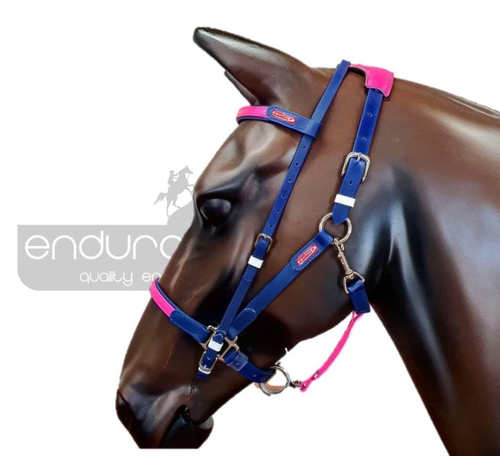Equitime Biothane Endurance Bridle Set – Endurance Tack SA