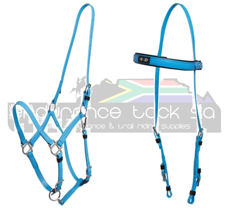 Zilco Deluxe Endurance Halter/Bridle Combo – Endurance Tack SA